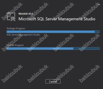 Microsoft SQL Server Management Studio 20.2 Kurulumu - Baki ÇUBUK