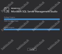 Microsoft SQL Server Management Studio 20.2 Kurulumu - Baki ÇUBUK
