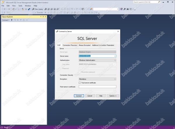 Microsoft SQL Server Management Studio 20.2 Kurulumu - Baki ÇUBUK