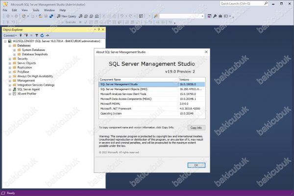 Microsoft SQL Server Management Studio (SSMS) 19.0 Preview 2 Kurulumu ...