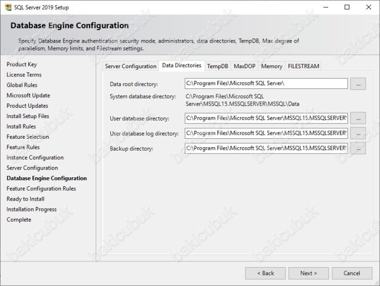 Microsoft SQL Server 2019 Kurulumu - Baki ÇUBUK