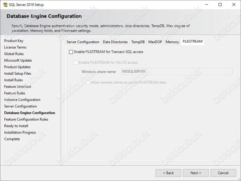 Microsoft SQL Server 2019 Kurulumu - Baki ÇUBUK