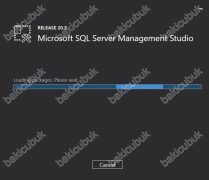 Microsoft SQL Server Management Studio 20.2 Kurulumu - Baki ÇUBUK