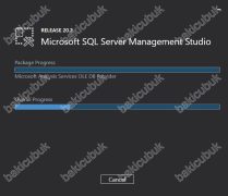 Microsoft SQL Server Management Studio 20.2 Kurulumu - Baki ÇUBUK