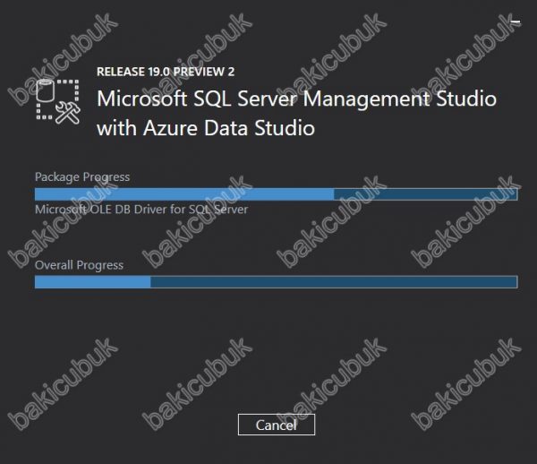 Microsoft SQL Server Management Studio (SSMS) 19.0 Preview 2 Kurulumu ...
